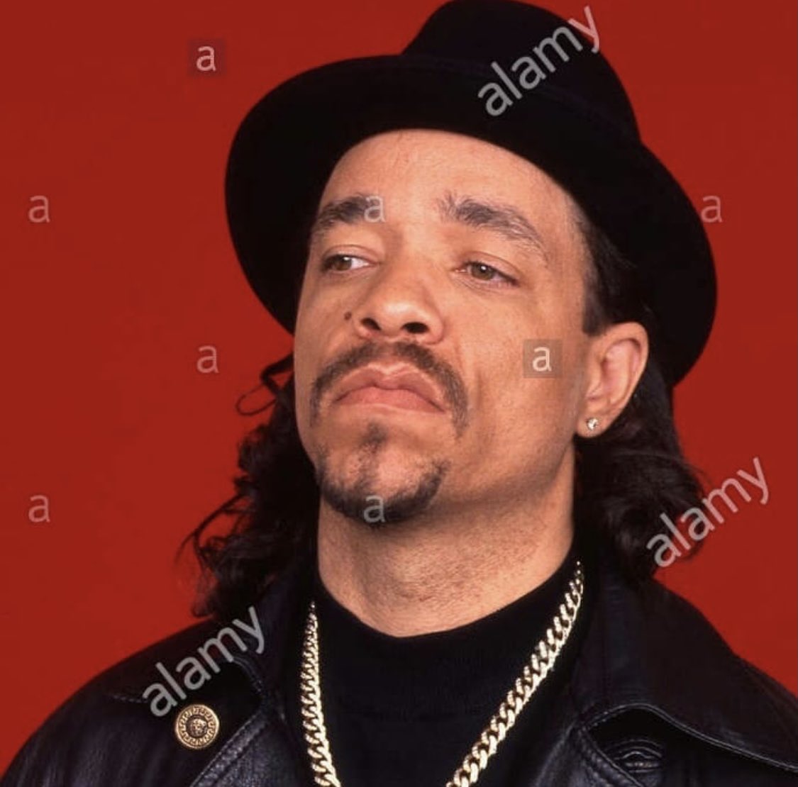 Ice T Hair