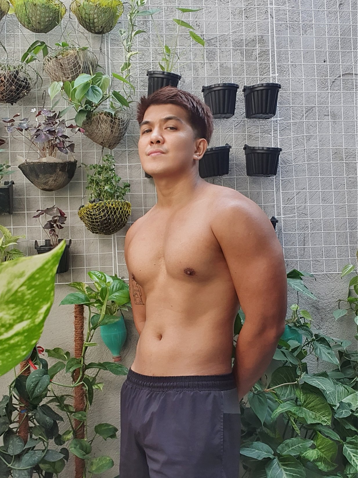 Rainier on Twitter: "Need more plants 🌱 https://t.co/KjDRJQW58P" / Twitter