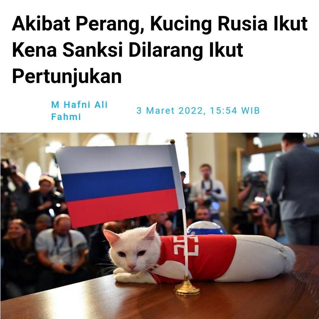 txtdrimedia on Twitter: "https://t.co/rChWWrCN9w" / Twitter