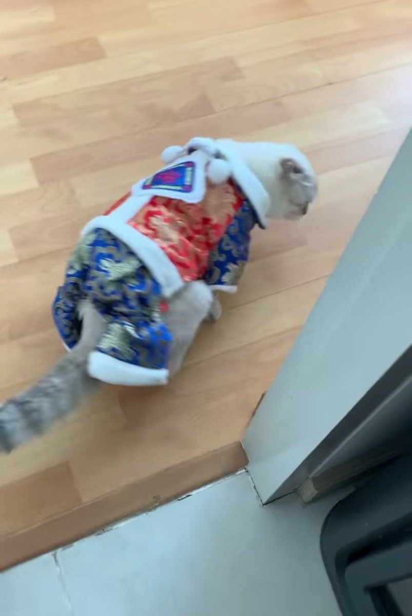 Maneemon (@Maneemo67511548) | Twitter