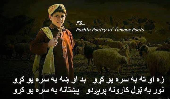 Afghan Famous Poets