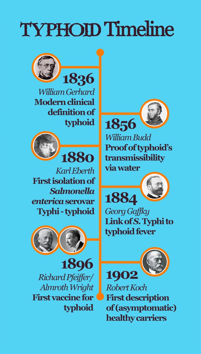 Typhoid Fever History Timeline