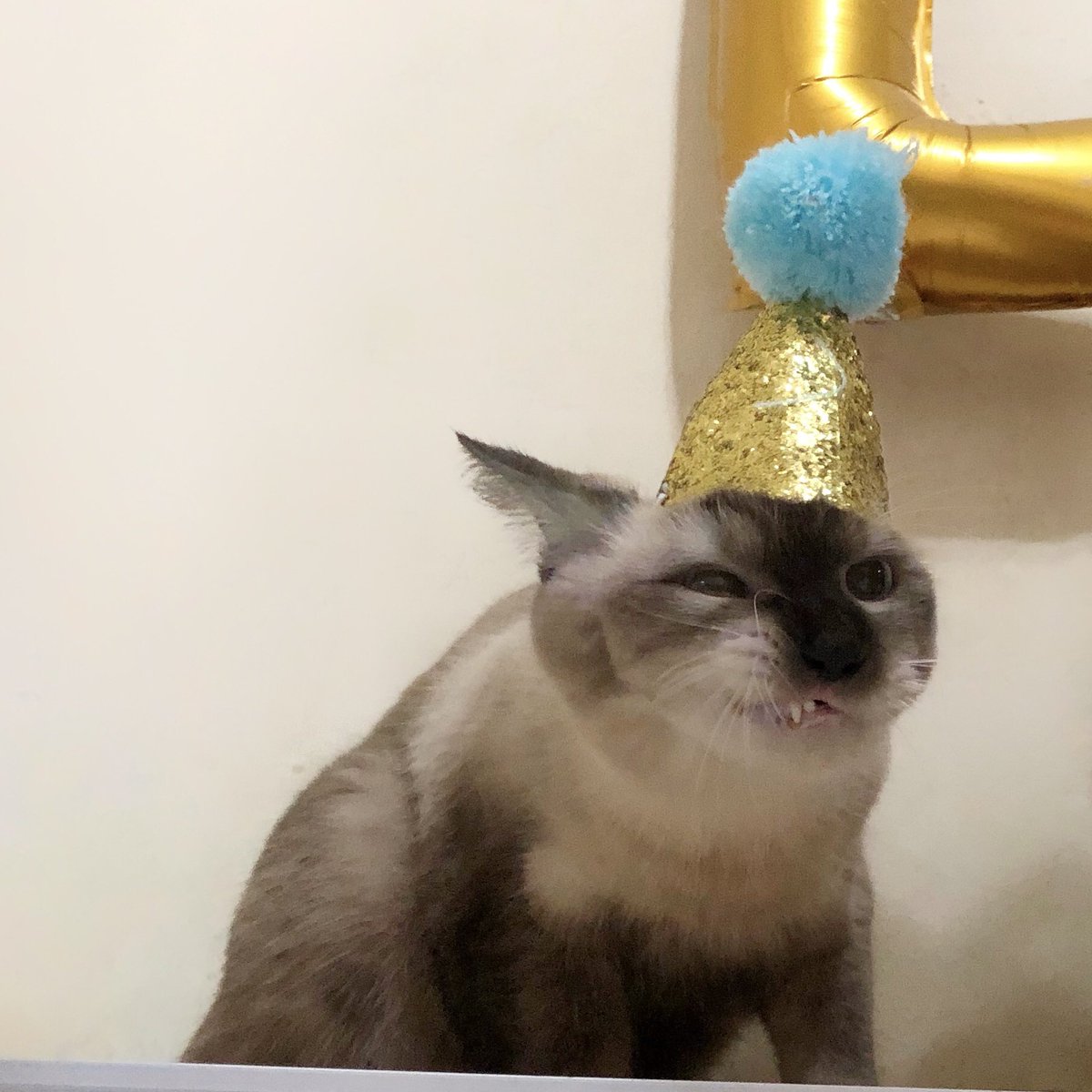 abigail tabitha (@Abby_cde_) | Twitter