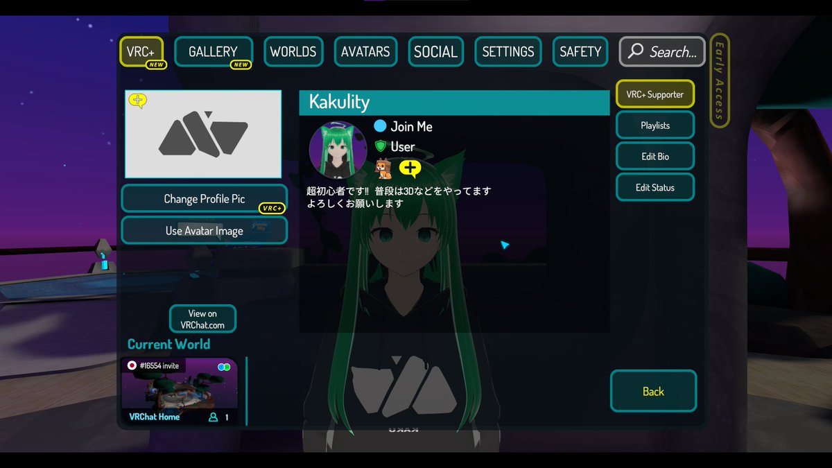 Kaku@vrc (@kakubinds) | Twitter