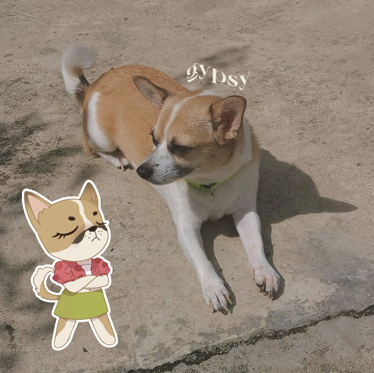 「GYPSY (grumpy girl, feeling rich lol she」|violetteのイラスト