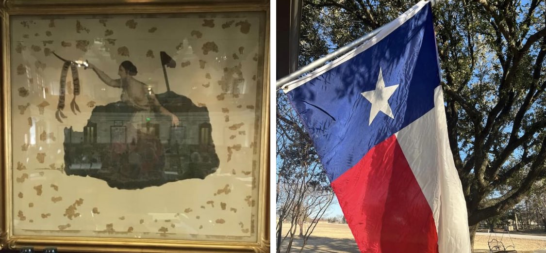 Battle Of San Jacinto Flag