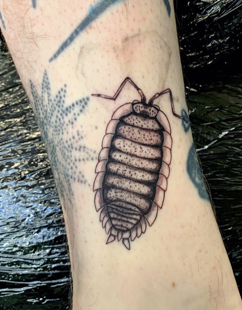 Traditional Bug Tattoo