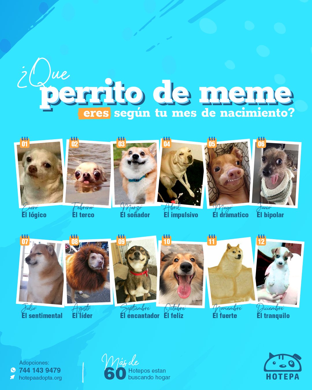 Memes Segun Tu Mes Odiosa.