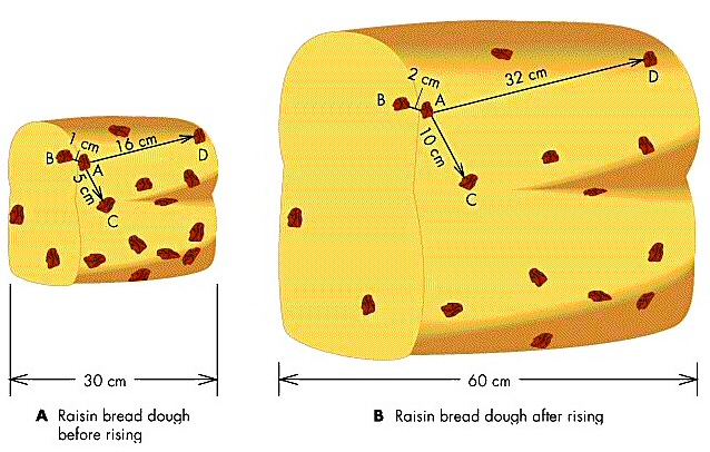 Expanding Universe Raisin Bread Does The Universe Expand Faster Than