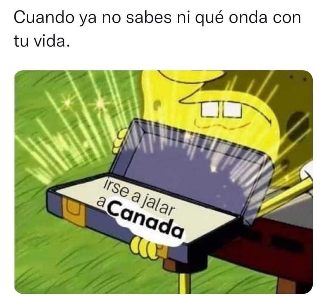 Que Jalada Memes Hijos De Su Puta Madre, Que Chingados Le Voy A Poner