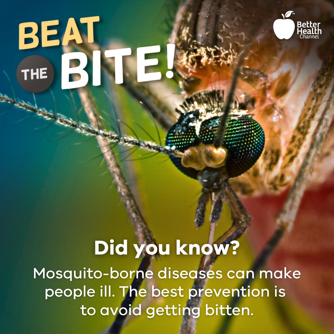 Mosquitoes Teeth How Many