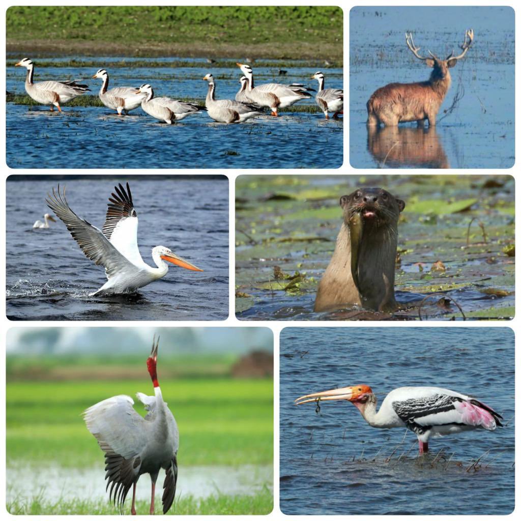 Dr Ragini Agarwal (@DrRaginiAgarwa2) | Twitter