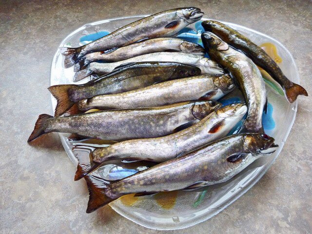 Since ice fishing open there is nothing like a nice meal of freshly ...