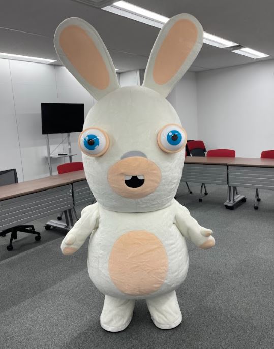 Rabbids Invasion Costume