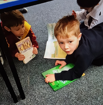 Hoyle Court Primary School on Twitter: "Beech Class have really enjoyed doing some extreme ...