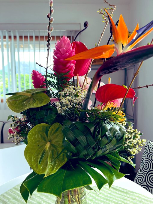 TW Pornstars - Ashley Fires. Pictures and videos from Twitter. Page 2