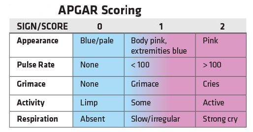 Apgar Score Chart