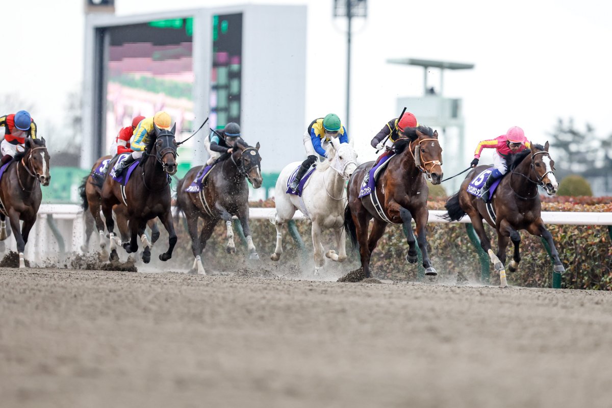 𝒱ℐℛ𝒜ℒ-𝓐 (@decimal_bigint) | Twitter