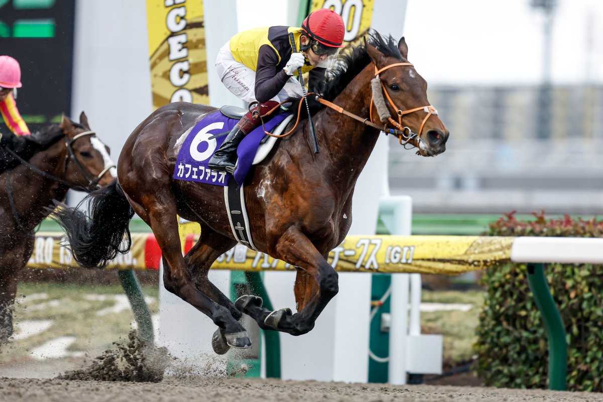 𝒱ℐℛ𝒜ℒ-𝓐 (@decimal_bigint) | Twitter