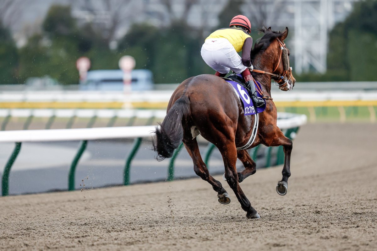 𝒱ℐℛ𝒜ℒ-𝓐 (@decimal_bigint) | Twitter