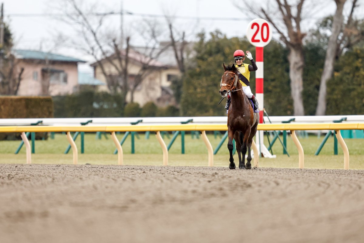 𝒱ℐℛ𝒜ℒ-𝓐 (@decimal_bigint) | Twitter