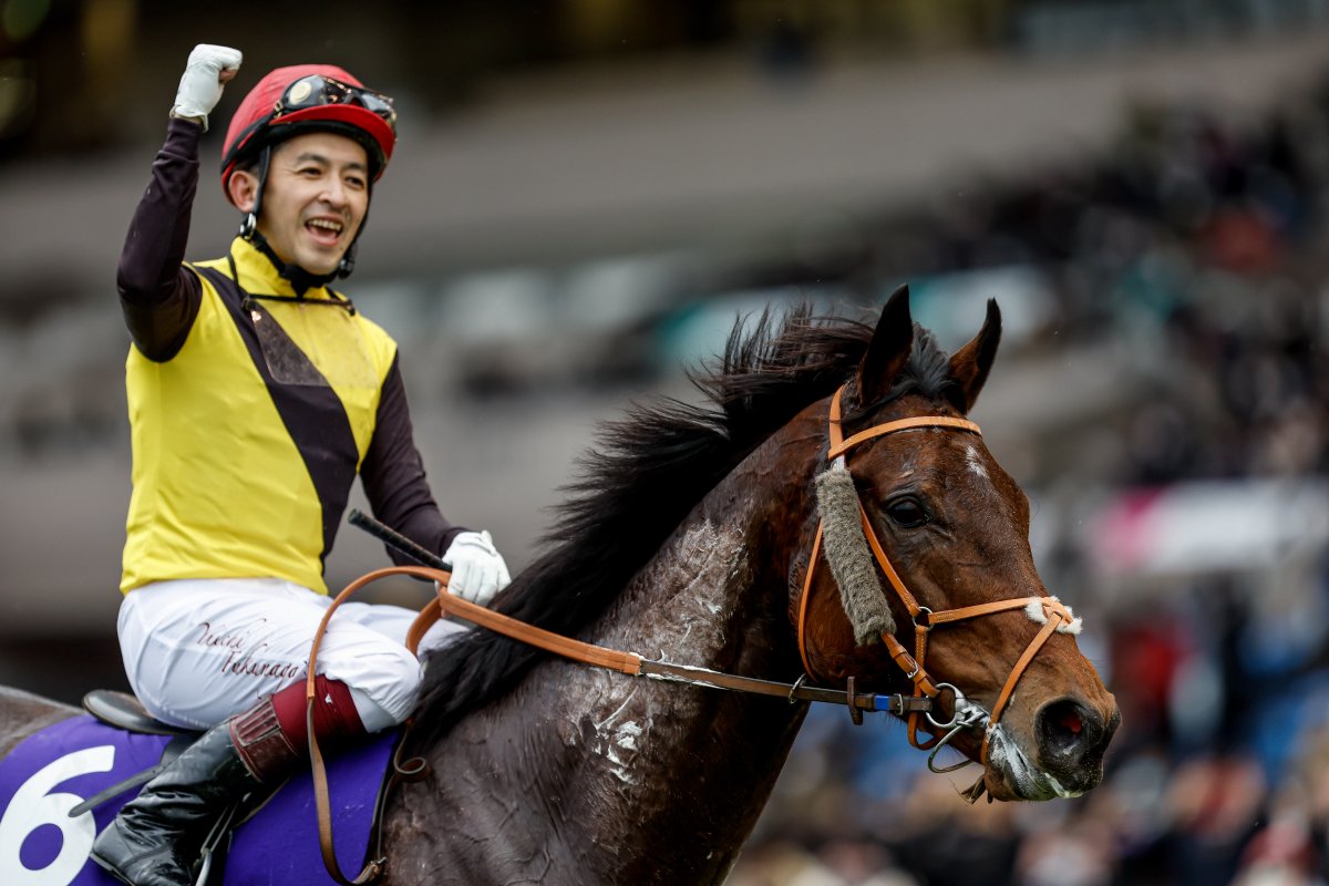 𝒱ℐℛ𝒜ℒ-𝓐 (@decimal_bigint) | Twitter