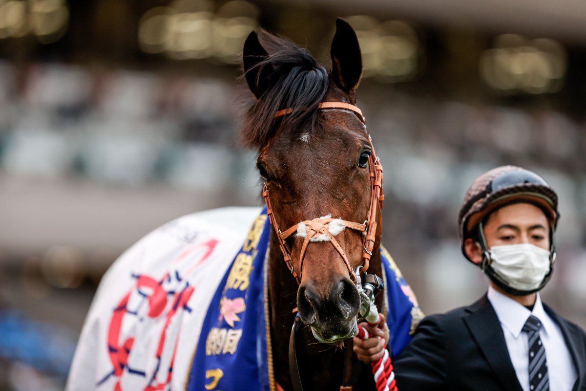 𝒱ℐℛ𝒜ℒ-𝓐 (@decimal_bigint) | Twitter