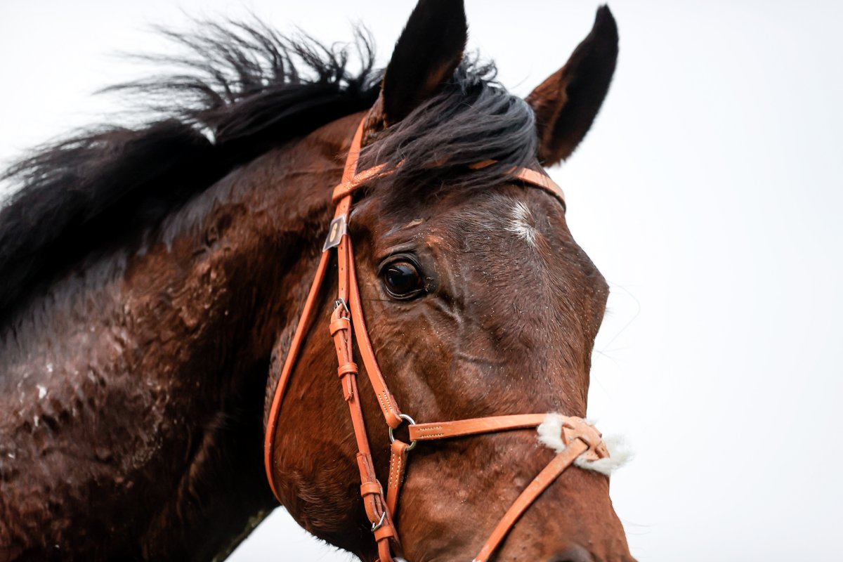 𝒱ℐℛ𝒜ℒ-𝓐 (@decimal_bigint) | Twitter