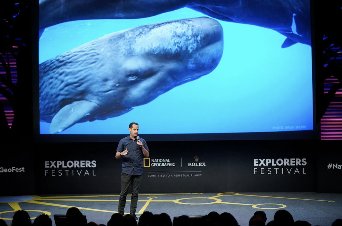 #WorldWhaleDay: Meet Explorer Shane Gero, who hopes to create a new ...