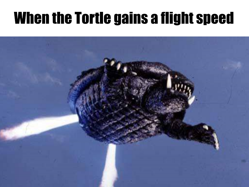 Flying Turtle Meme