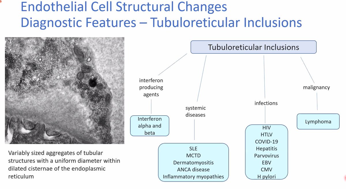 Thread by @Tiff_Caza on Thread Reader App – Thread Reader App