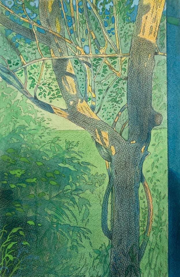 Twoucan - Ian Beck (@ianarchiebeck)