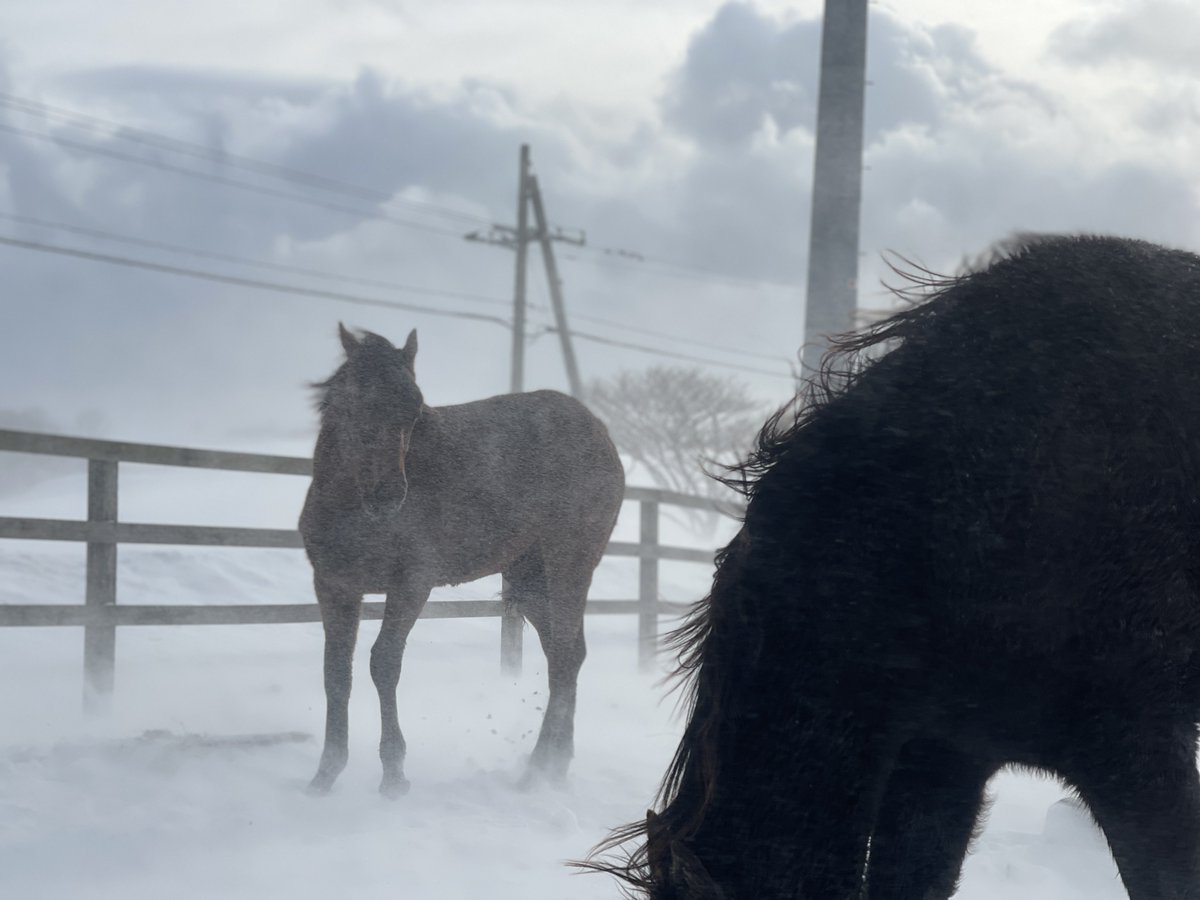 𝒱ℐℛ𝒜ℒ-𝓐 (@decimal_bigint) | Twitter