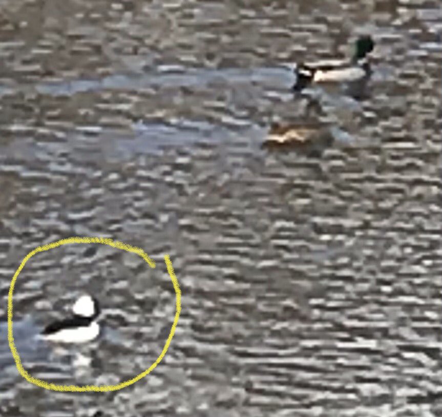 Real Kappa Sightings