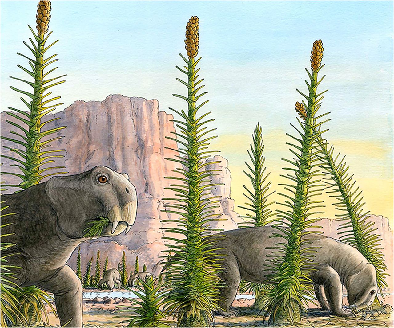 Prehistoric Plants Alive Today