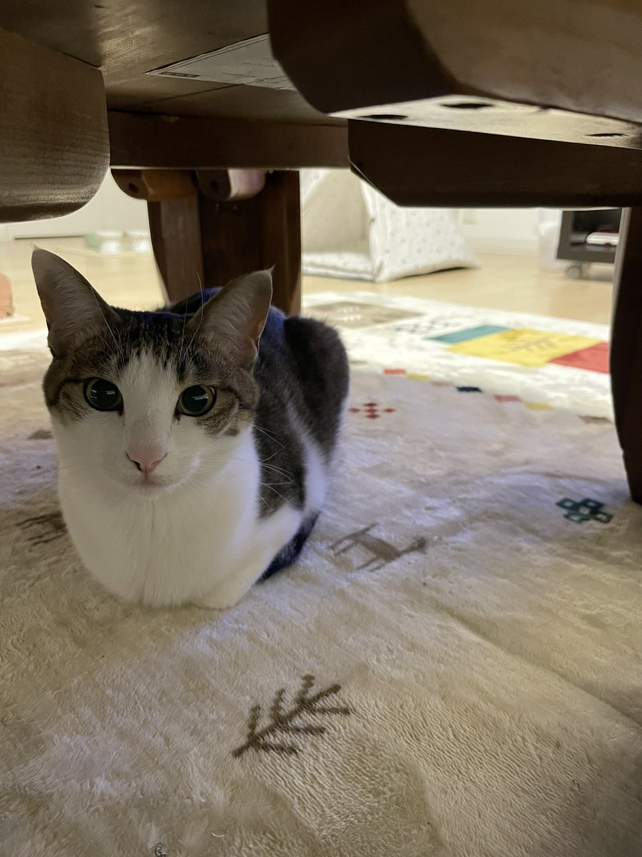 m_abe(@abesyou_zero) - Twilog