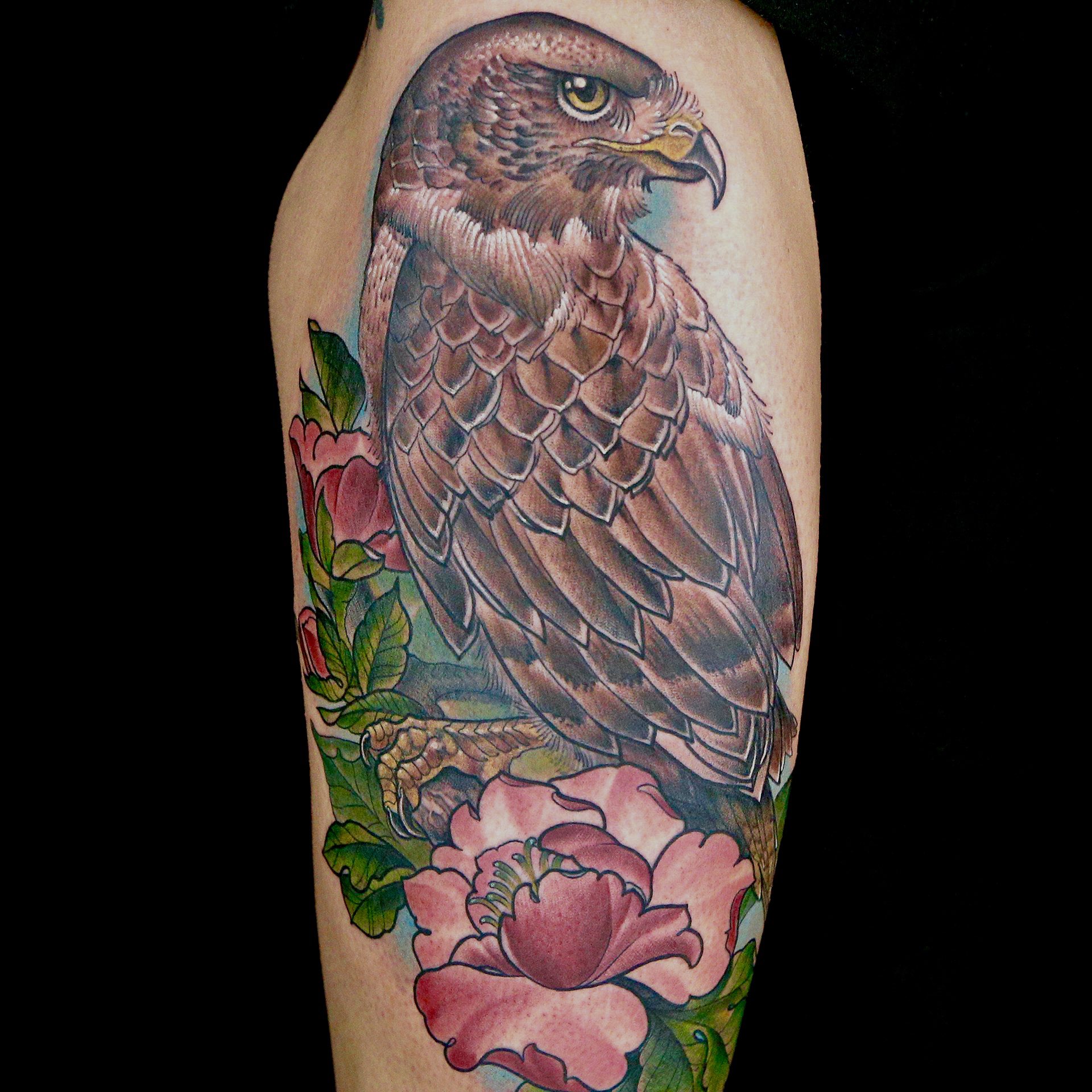 Traditional Red Tail Hawk Tattoo