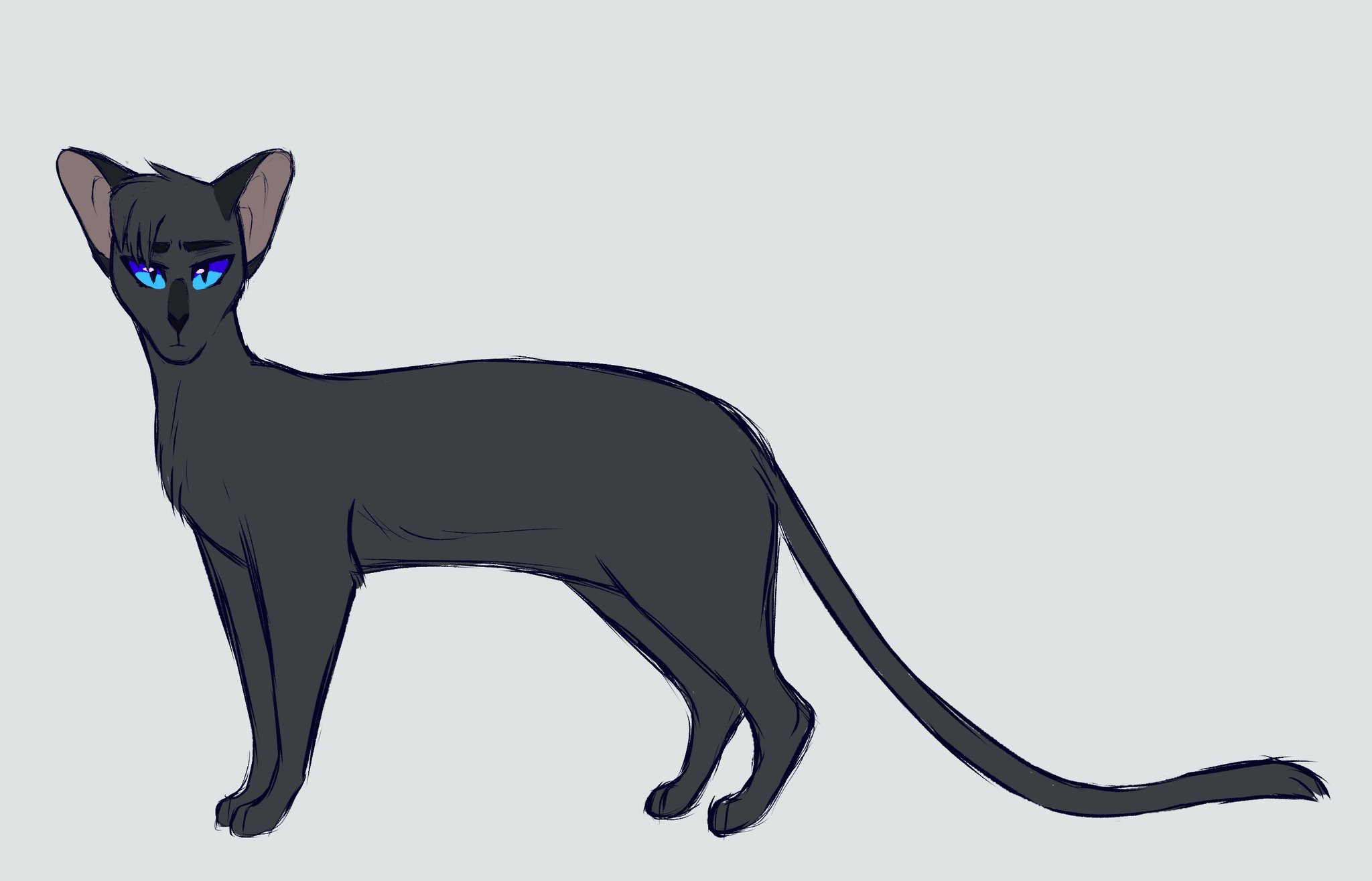 Warrior Cats Crowfeather