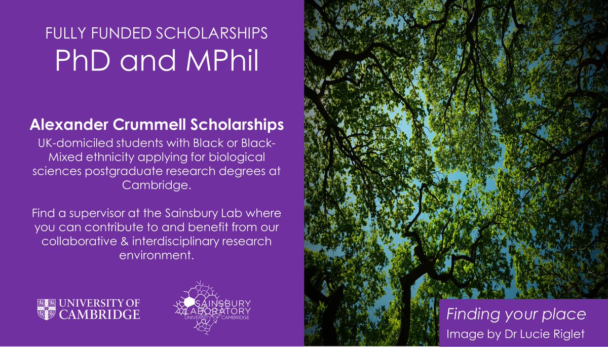 DingLab (@dinglab_plants) | Twitter