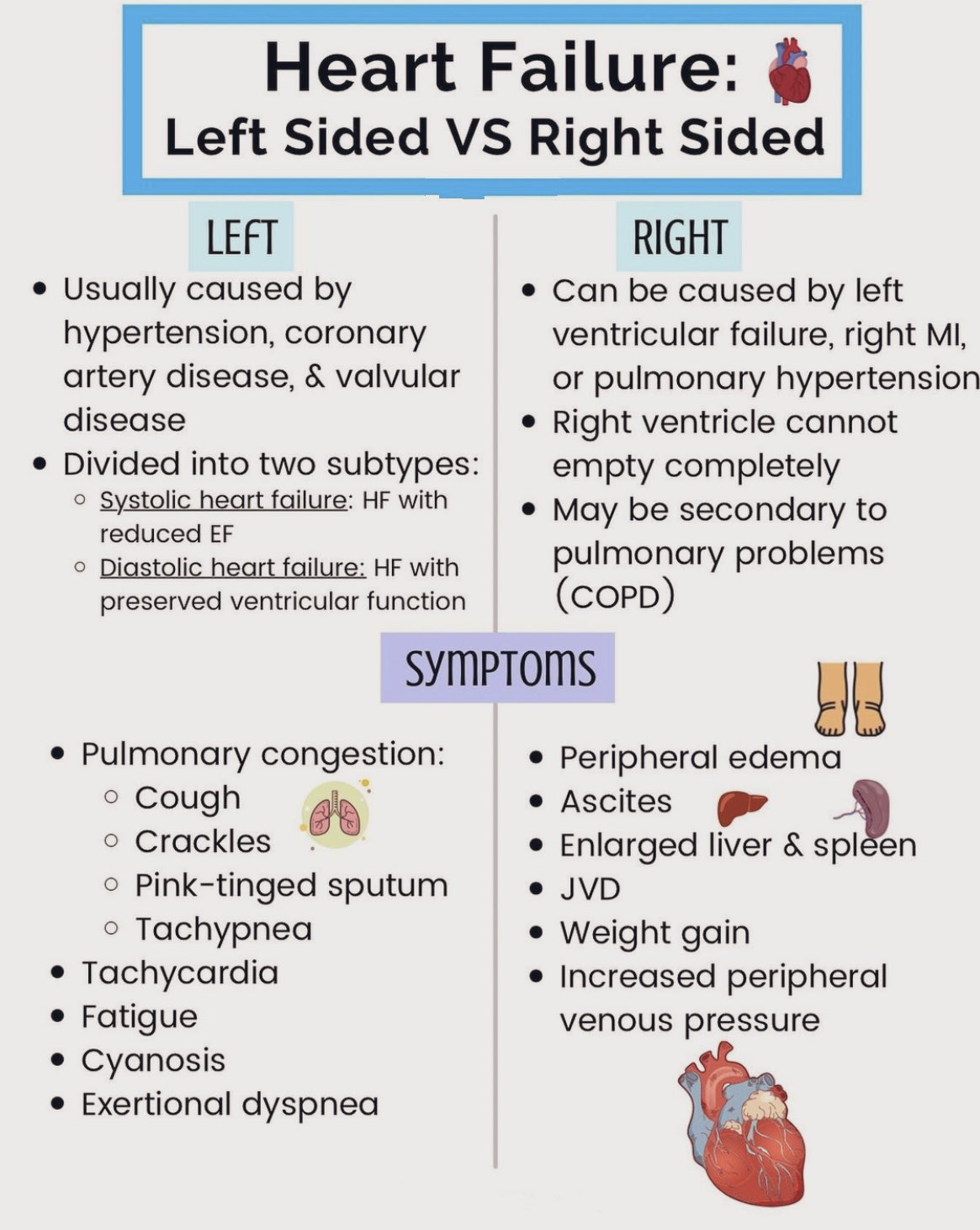 Symptoms Of Left Sided Heart Failure Left Sided Heart - vrogue.co Symptoms Of Left Sided Heart Failure Left Sided Heart - vrogue.co