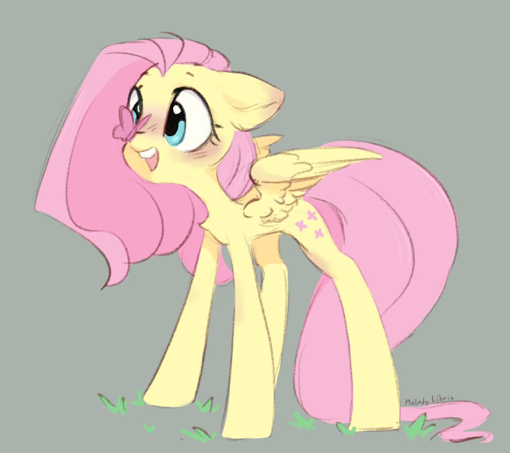 Mlp Butterfly | atelier-yuwa.ciao.jp