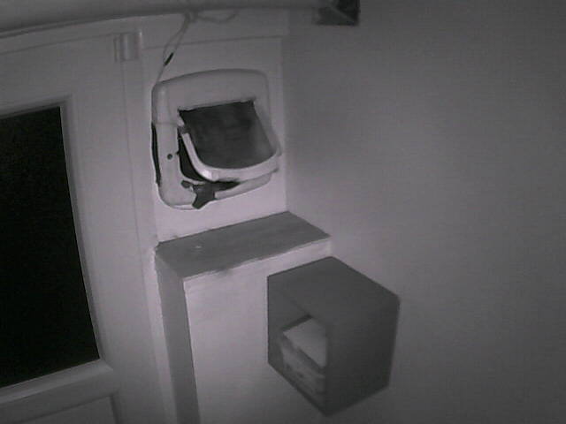 Ryan Borges (@ryanborges_0) | Twitter