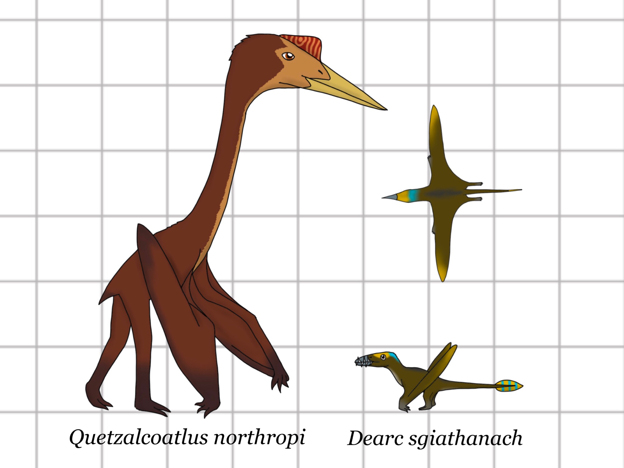 Quetzalcoatlus Size Comparison