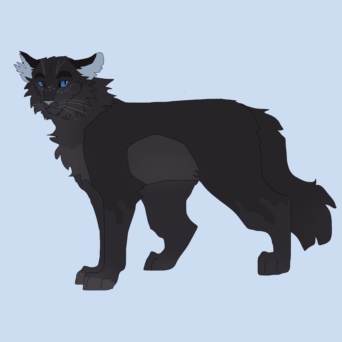 Warrior Cats Reedwhisker