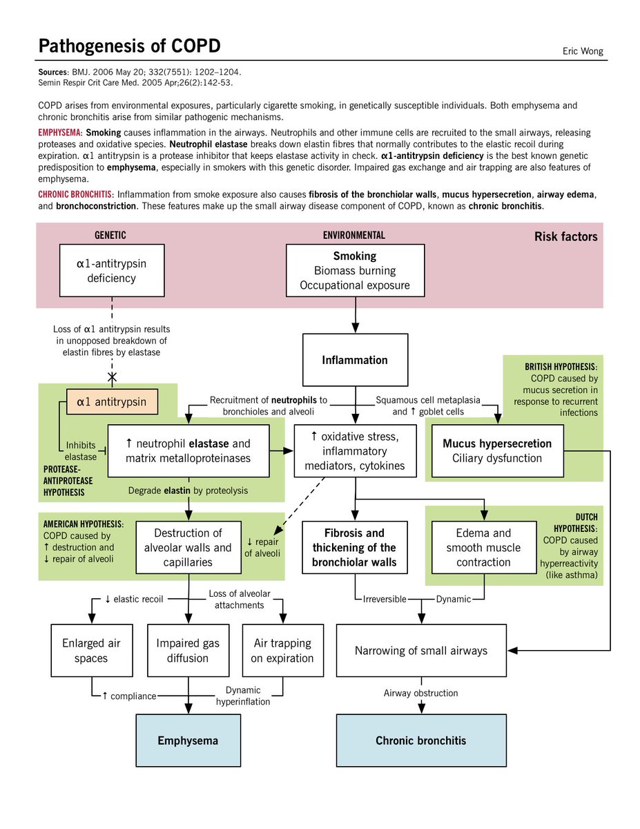 Copd Pathology