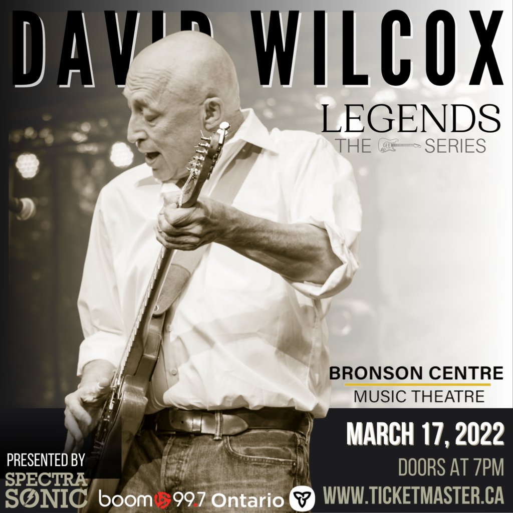 David Wilcox Canadian