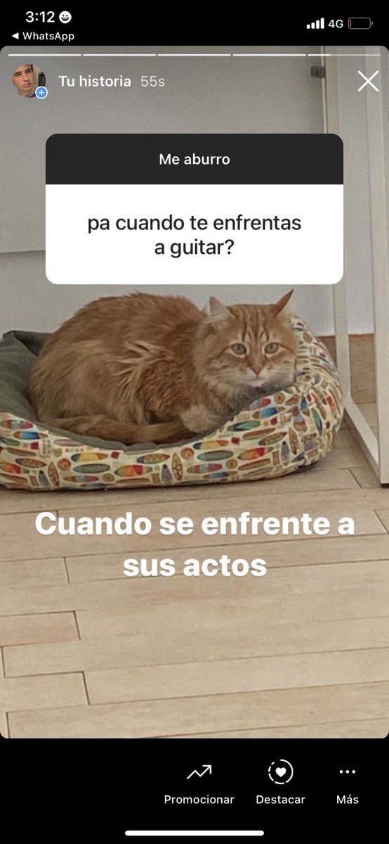 Edrielle (@soy1flordeloto) | Twitter