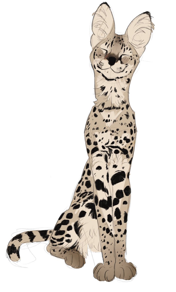 Serval Drawing
