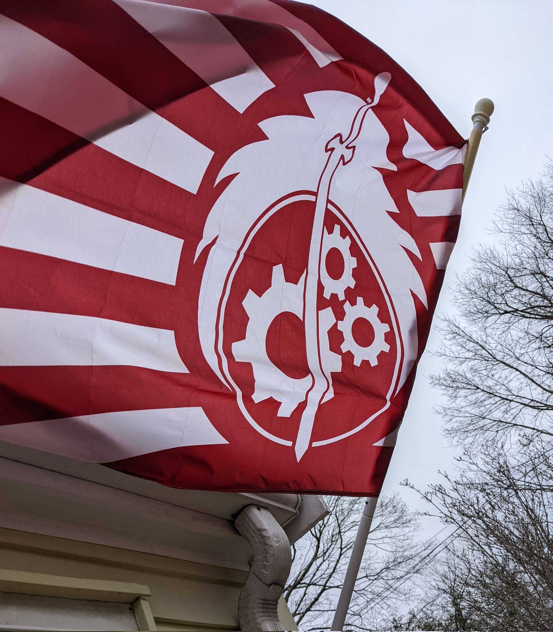 Brotherhood Of Steel Flag