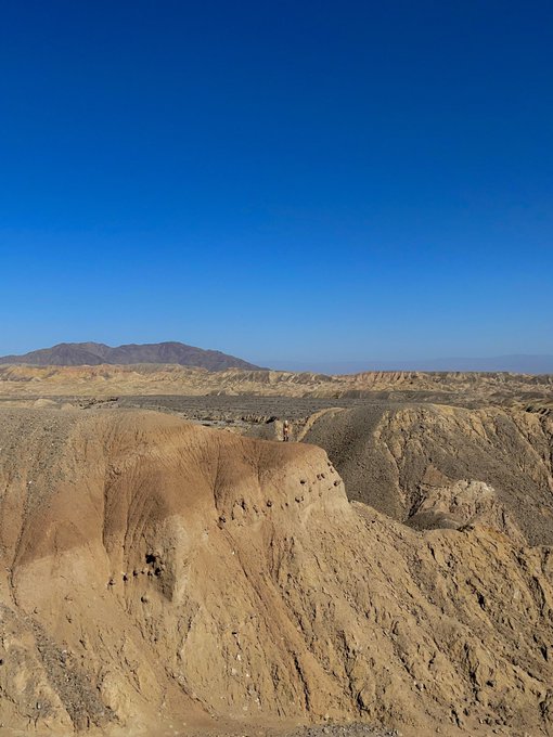 TW Pornstars - EMILY SEDONA . The most retweeted pictures and videos ...